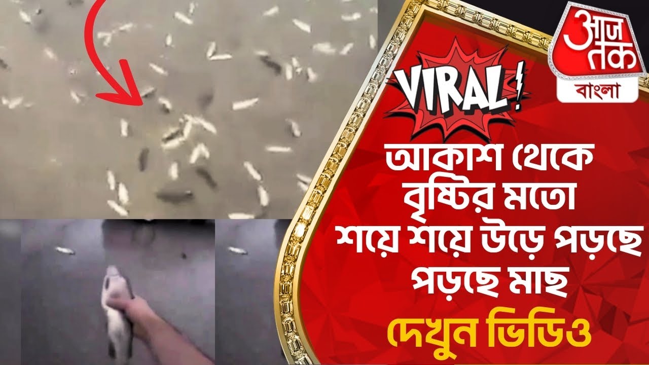 আকাশ থেকে বৃষ্টির মতো শয়ে শয়ে উড়ে পড়ছে পড়ছে মাছ, দেখুন ভিডিও ...