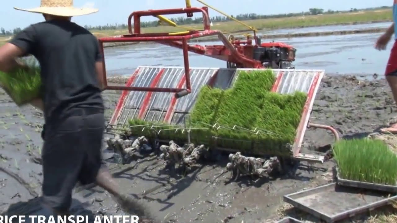 Tractor-mounted Rice Transplanter - YouTube