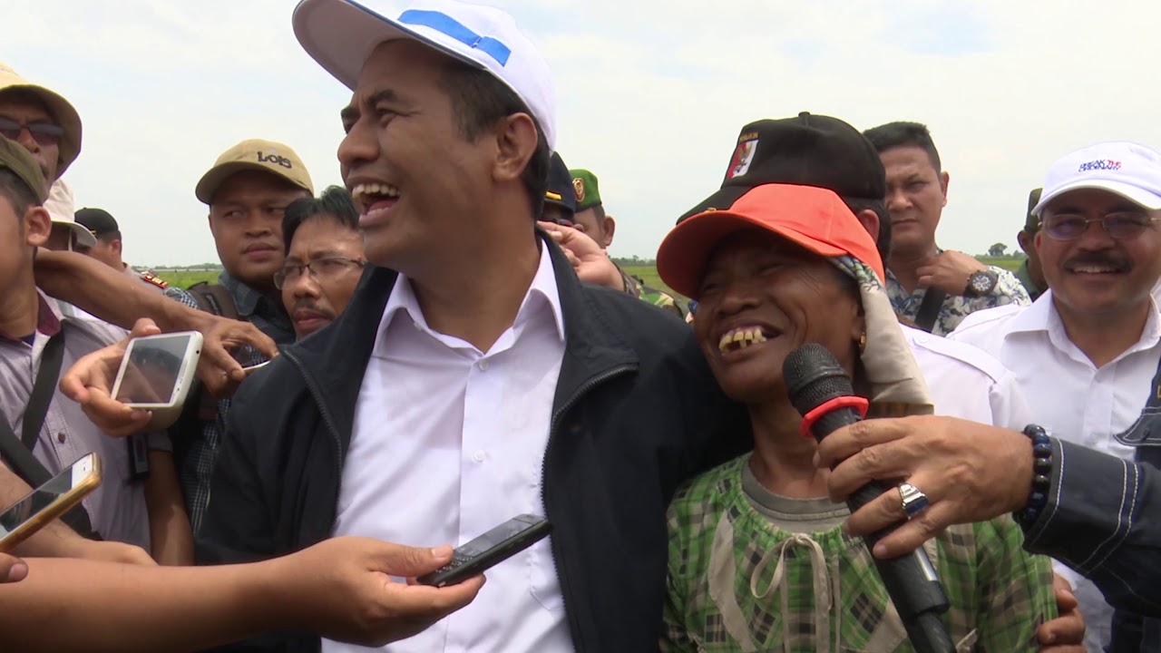 Panen Padi di Lahan Rawa Lebak, Ogan Ilir, Sumatera Selatan, 12 Oktober ...