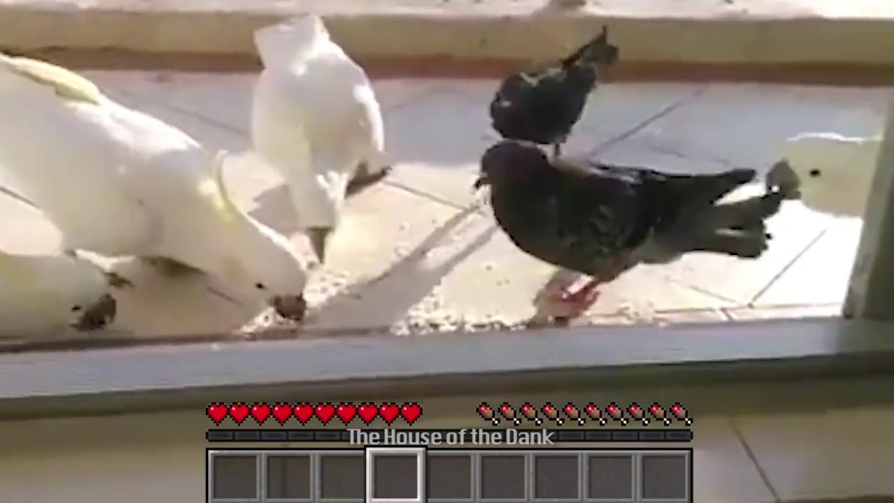 Minecraft Death Sound Meme - YouTube