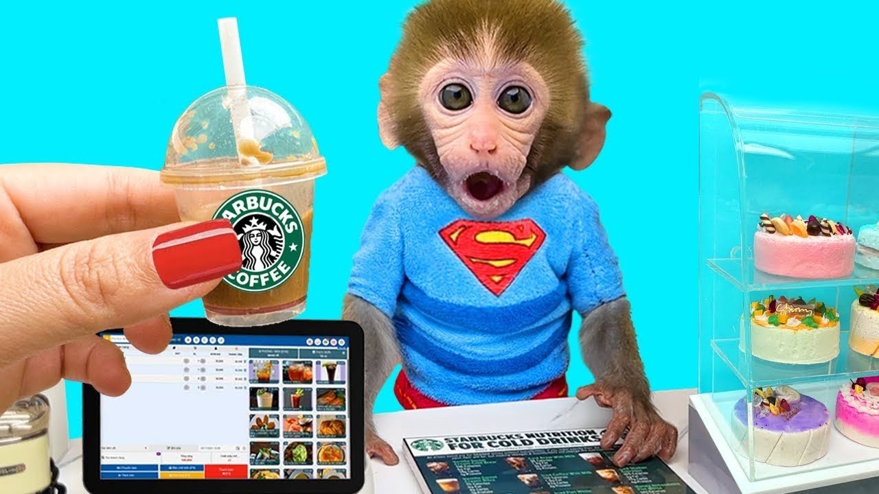 Monkey Baby Bon Bon oes to the toilet and plays with Ducklings in the ...