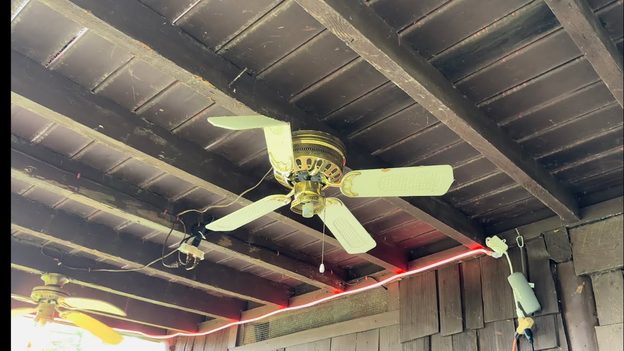 Ceiling Fan Destruction #46 - YouTube