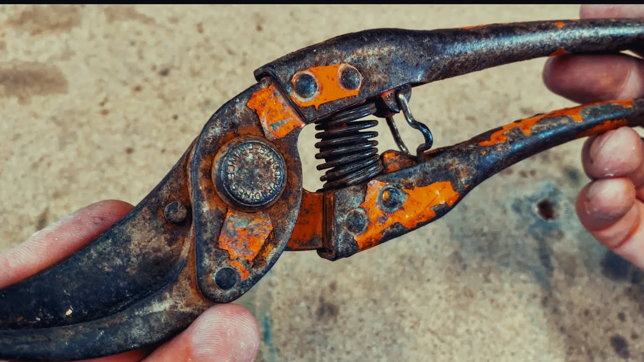 Restoration of old rusty secateurs - YouTube