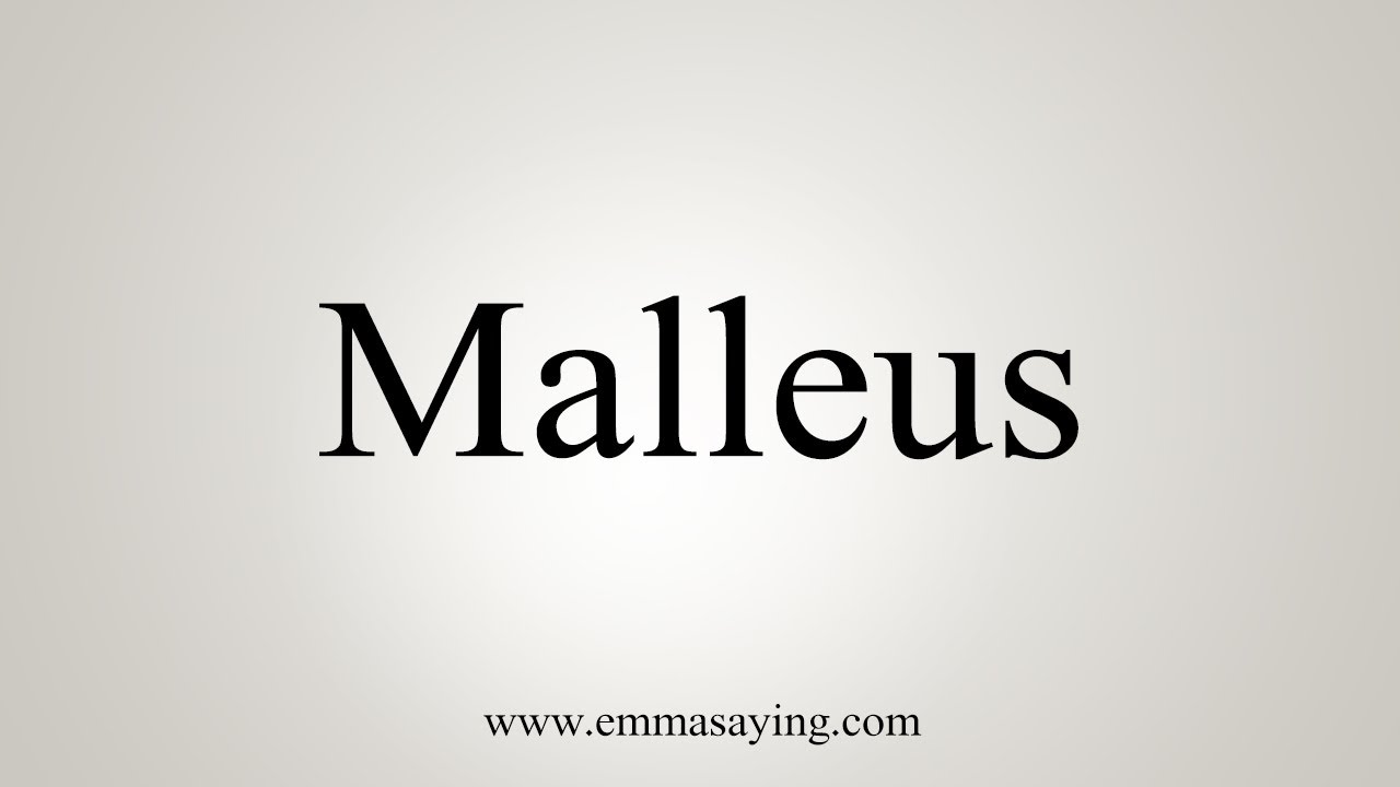 How To Say Malleus YouTube how-to-say-malleus-youtube