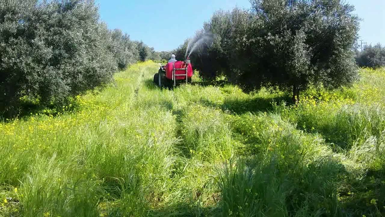 ΡΑΝΤΙΣΜΑ ΕΛΙΑΣ ΜΕ ΧΑΛΚΟ - YouTube