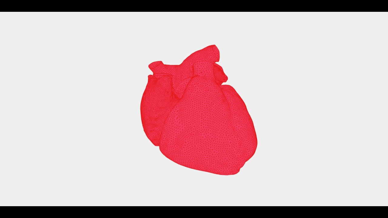 XCAT 'Living Heart' Phantom 3beat loop - YouTube