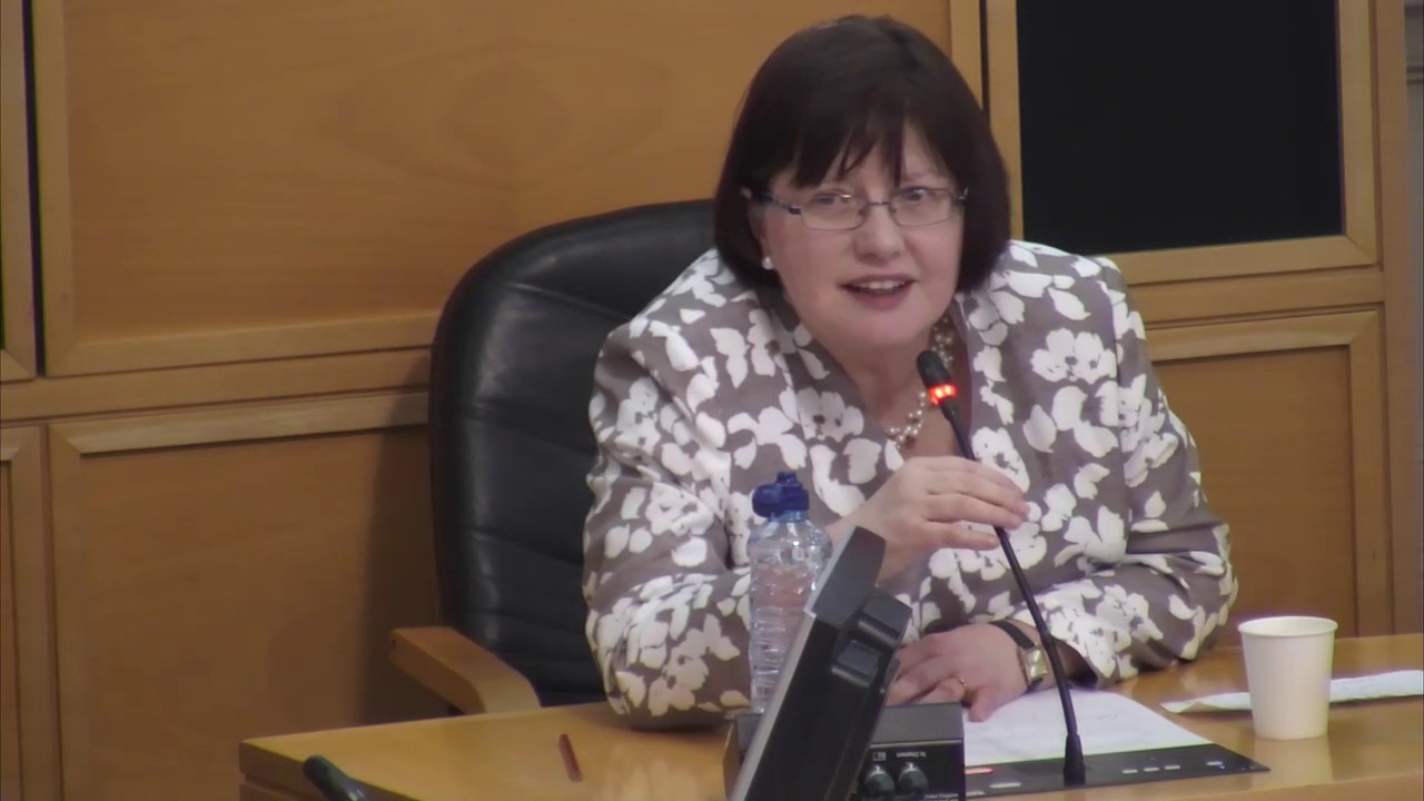 Messines Peace Park Seminar - 2nd Session - YouTube