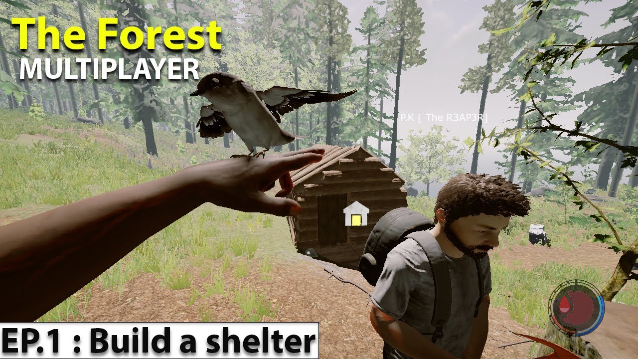 The Forest Ep.1 Build a Shelter | Multiplayer Gameplay - YouTube