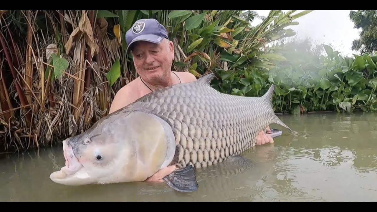 Big carp fishing made easy with Bill. - YouTube