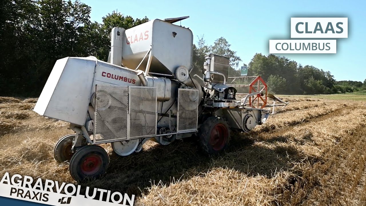 Claas Columbus • Weizendreschen | Agrarvolution Praxis - YouTube