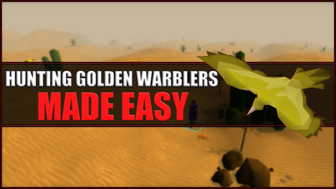 Quick Guide to Hunting Golden Warblers in OSRS | Hunter Guide - YouTube