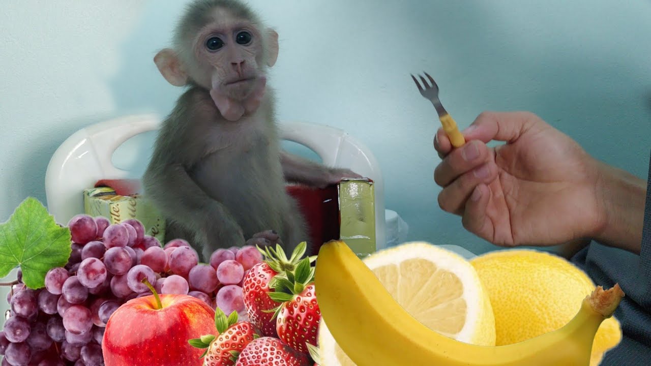 Avoid to gett sick Wawa stay in the room Mike prepare a lot of fruit ...