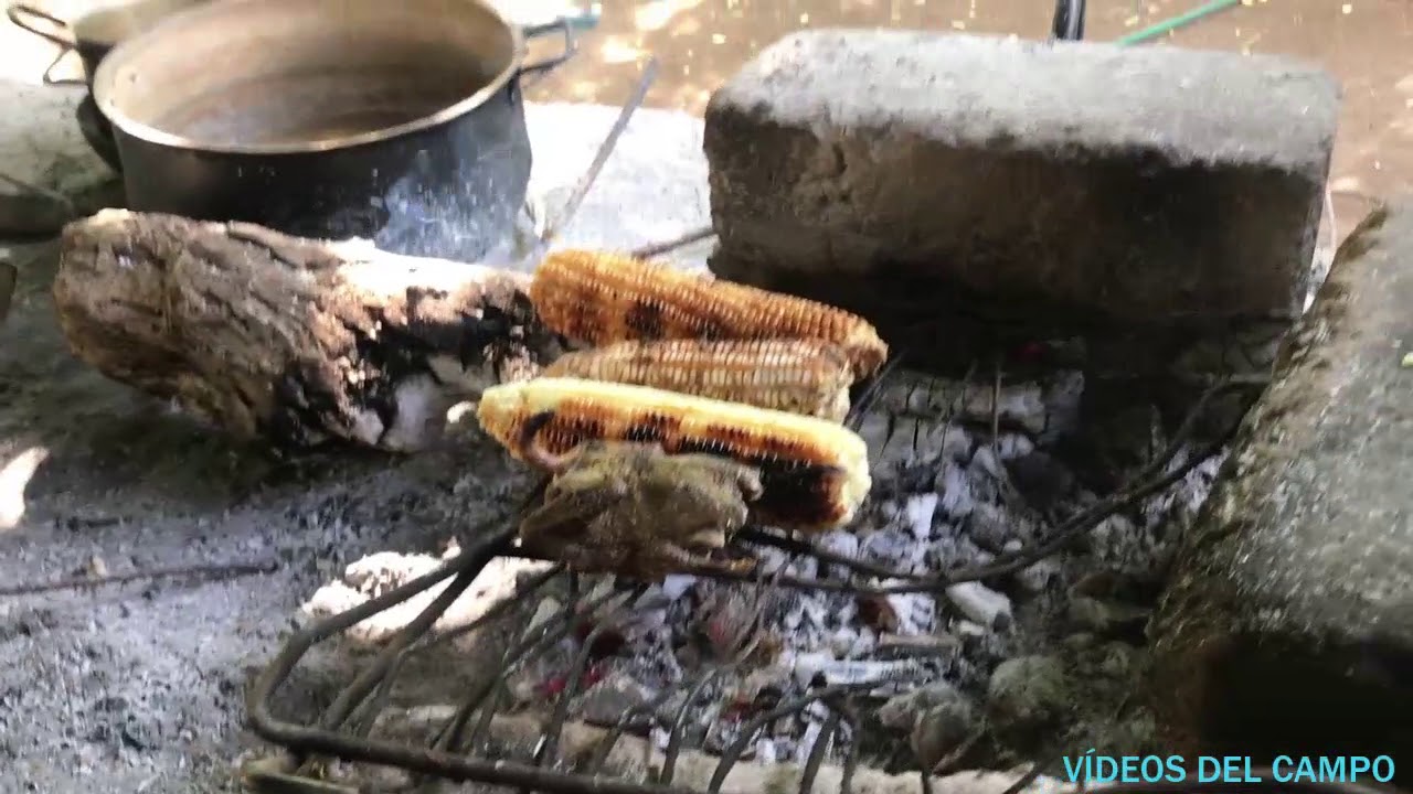 Asando paloma con elotes. - YouTube
