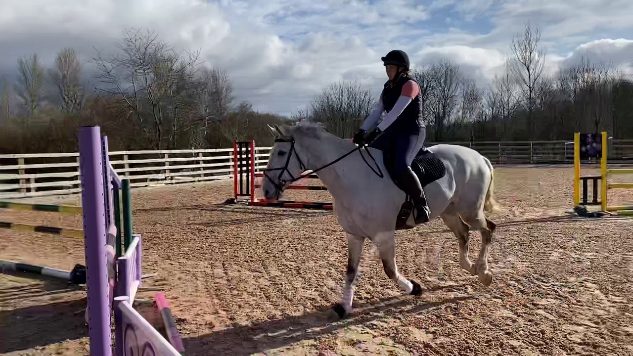 Showjumping Training - YouTube