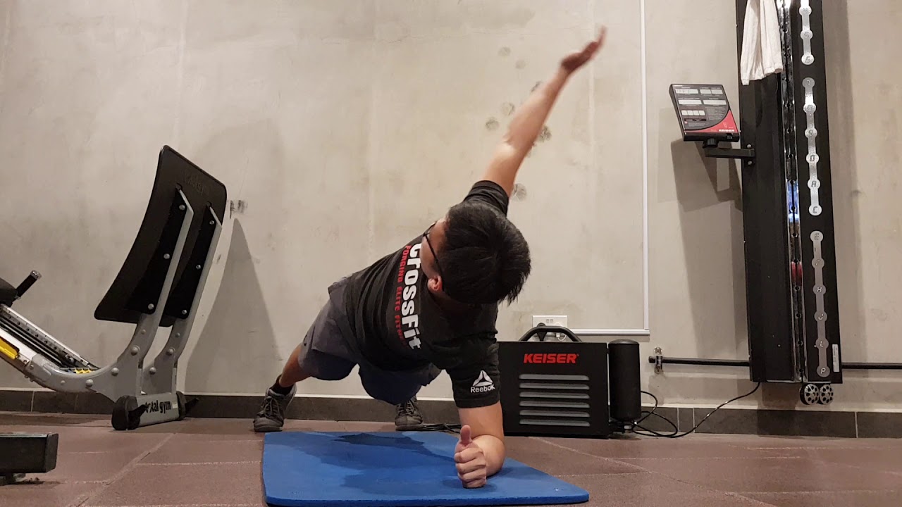 Plank Rotations - YouTube