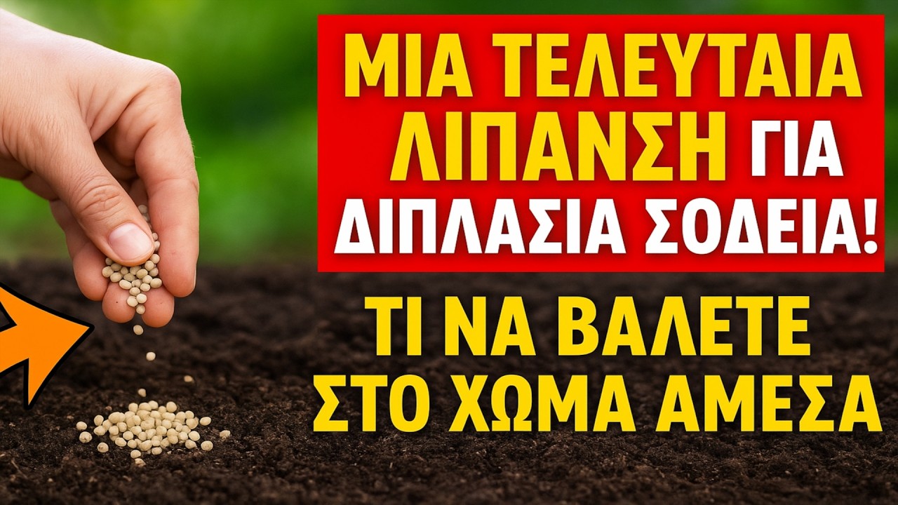 Μία ΤΕΛΕΥΤΑΙΑ λίπανση για διπλάσια σοδειά! Τι να βάλετε στο χώμα ΑΜΕΣΑ ...
