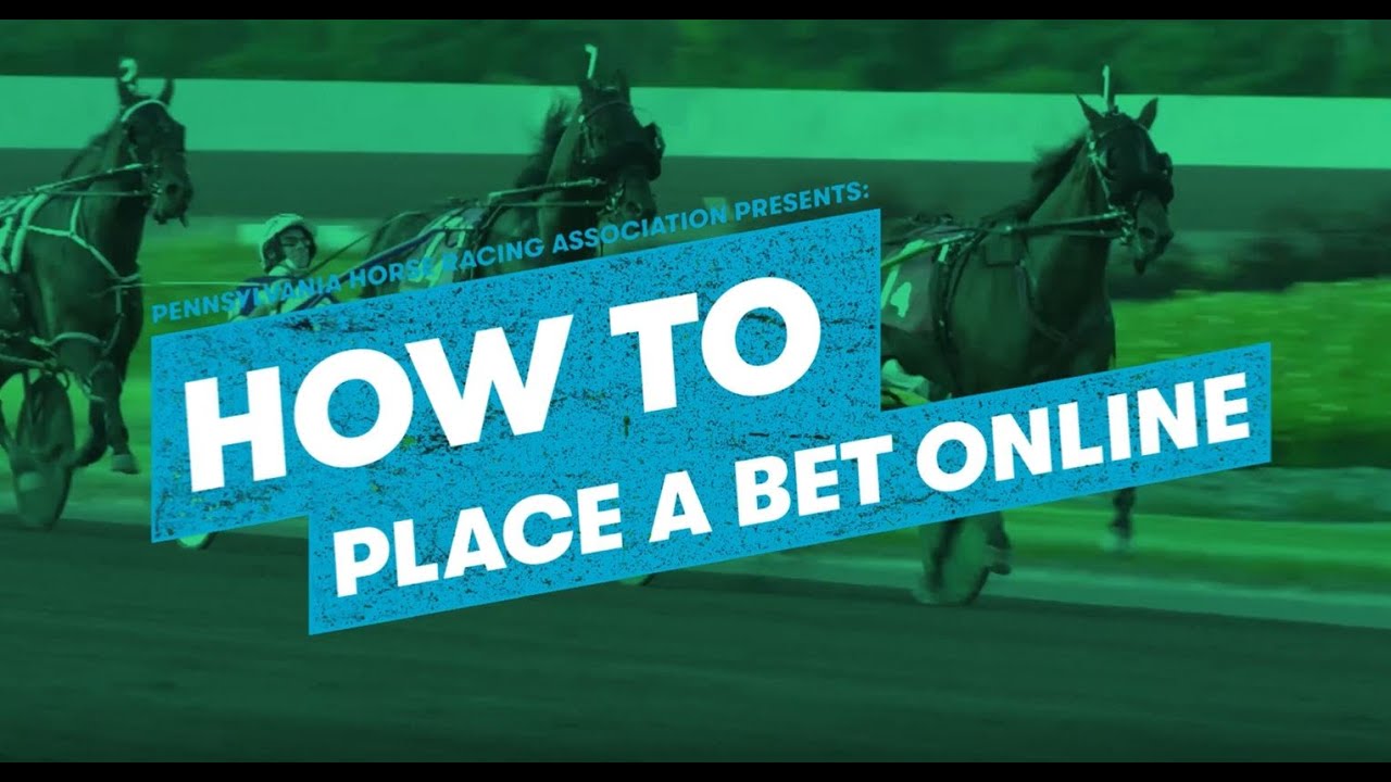 How to place a bet online - YouTube