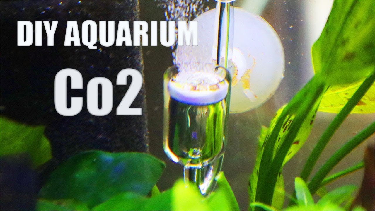 DIY C02 AQUARIUM SETUP - YouTube