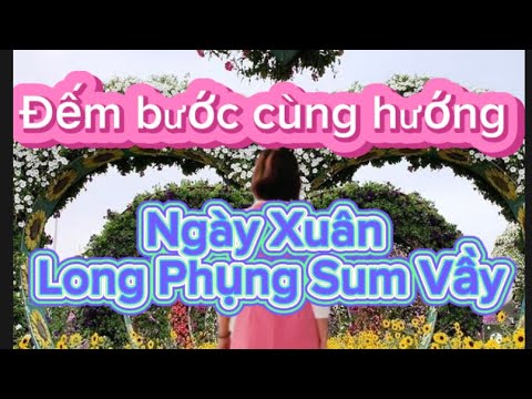 Shuffle Dance: Đếm bước cùng hướng bài “Ngày XHân Lòng Phụng Sum Vây” # ...
