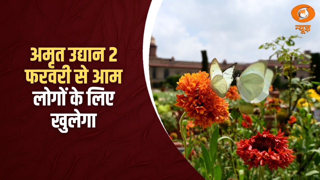 Rashtrapati Bhavan Amrit Udyan | राष्ट्रपति भवन का अमृत उद्यान 2 फरवरी ...