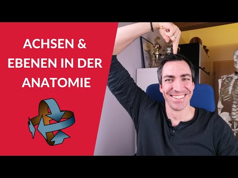 Ebenen und Achsen lernen:  Eselsbrücken und Erklärungen (Anatomie-Grundlagen)