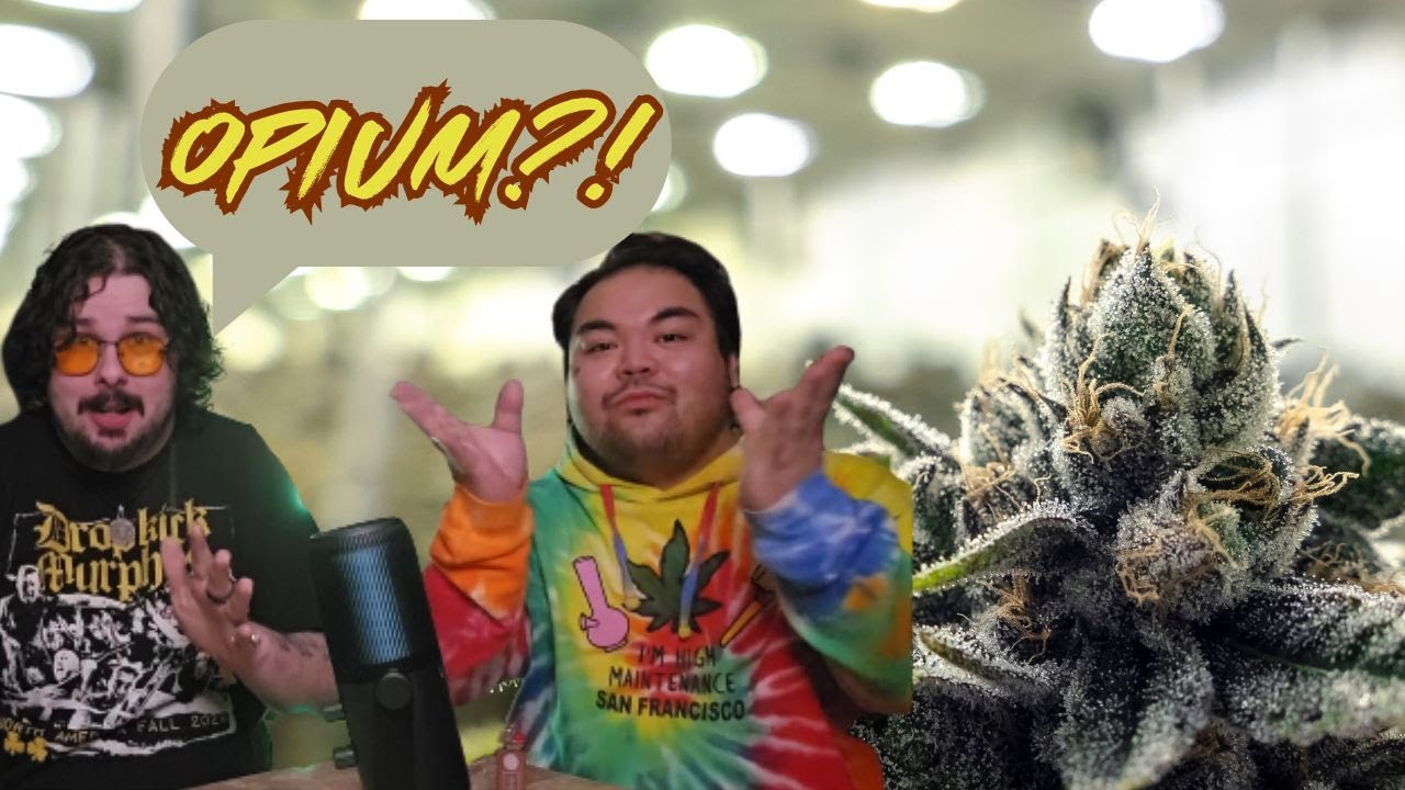 Old Stoner, New Stoner STORYTIME - YouTube