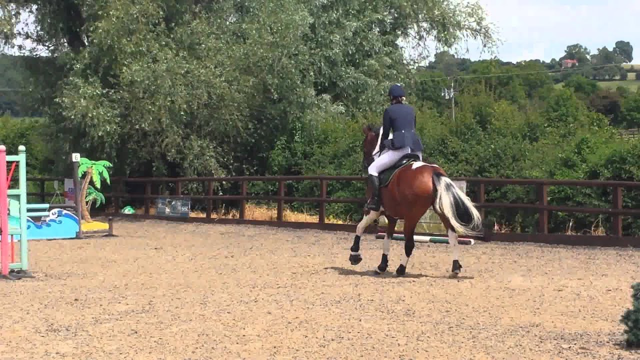2'6" Show Jumping @ Tack Farm - YouTube