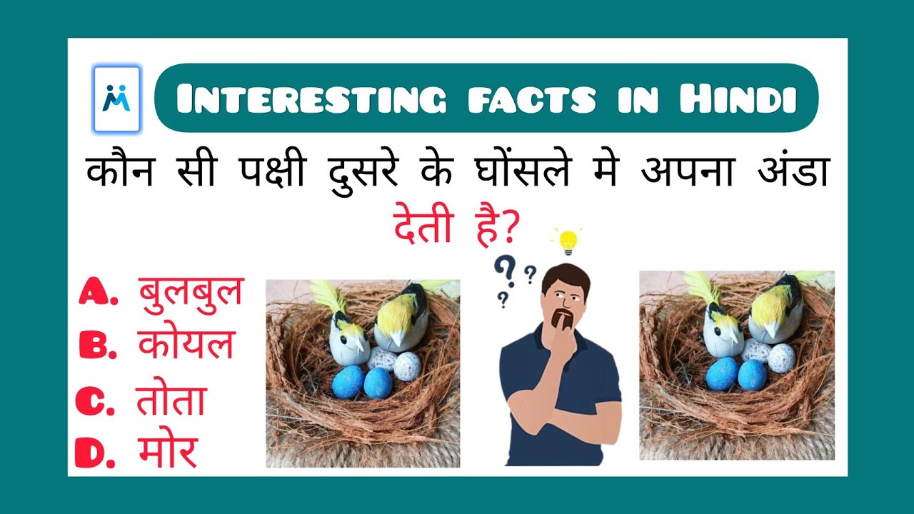 Gk Facts In Hindi Gk gk-facts-in-hindi-gk