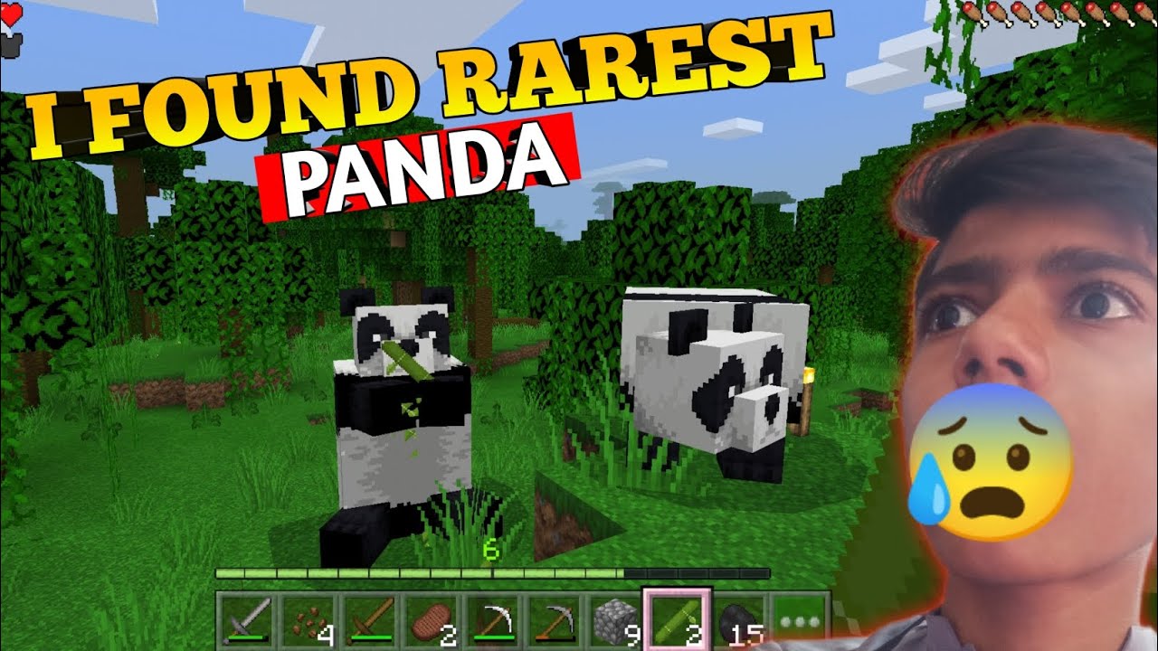 I FOUND RAREST PANDA IN JUNGLE || MINECRAFT GAMEPLAY #13 - YouTube