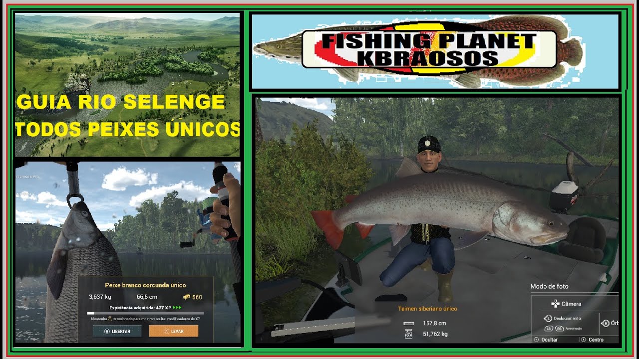 GUIA RIO SELENGE TODOS PEIXES ÚNICOS - YouTube