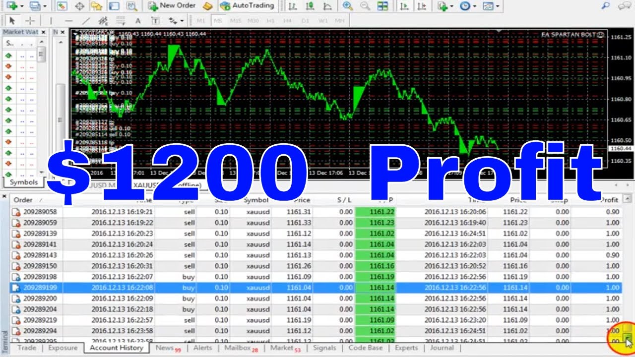 Grid EA Live Trading Watch How I Made $1200 Profit in Just a Few Hours ...