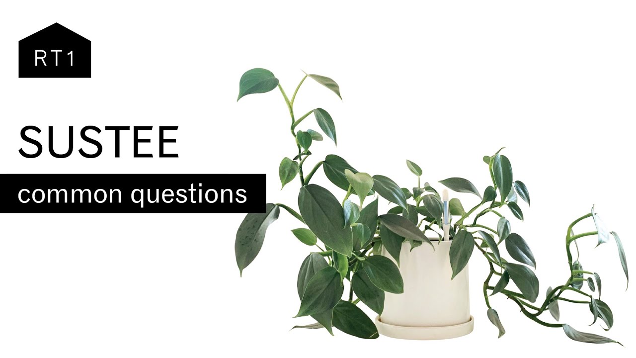 SUSTEE AQUAMETER - FAQ'S ANSWERED - YouTube