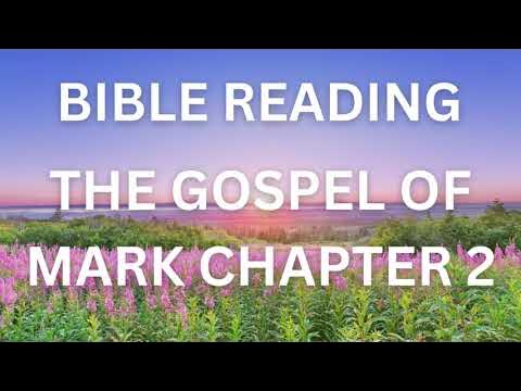 The Gospel according to Mark chapter 2 (bible reading) - YouTube