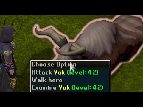 the yak problem (HCIM #6) - YouTube
