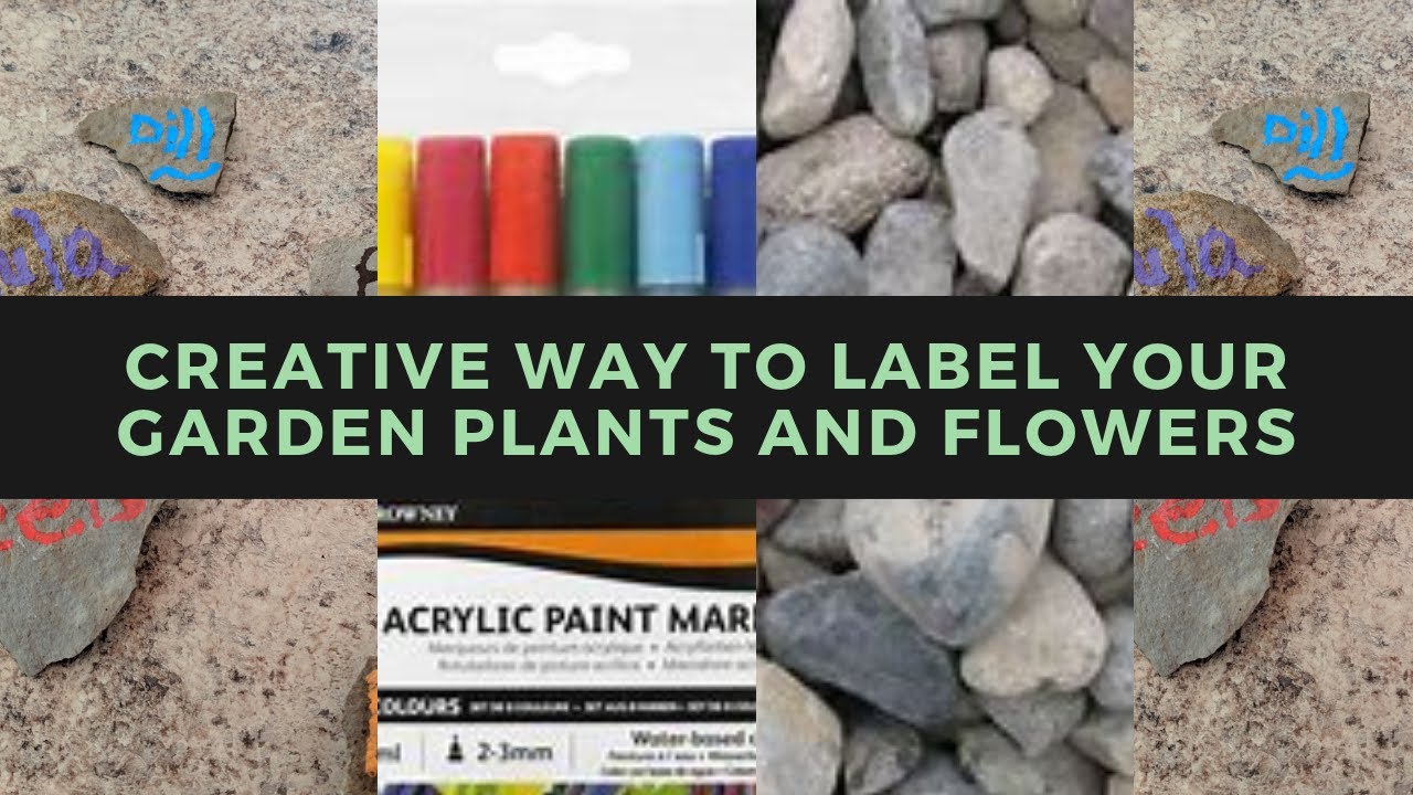 Garden: Cute and creative way to label your plants - YouTube