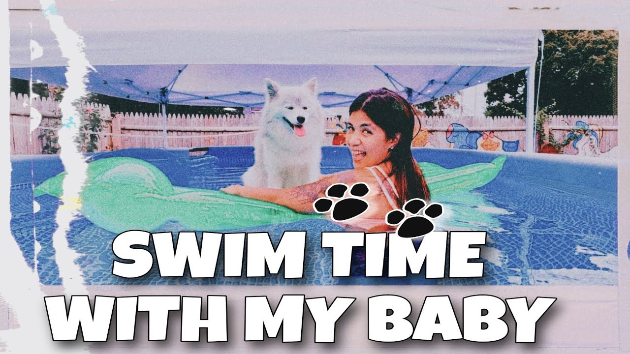 SWIM TIME WITH MY BABY LUNA - PUPPY POMSKY #pomsky #funtime - YouTube