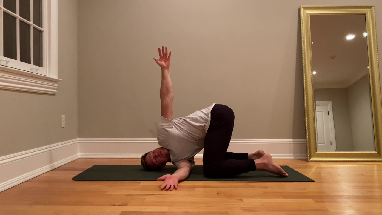 Quadruped Reach Through with Trunk Rotation - YouTube