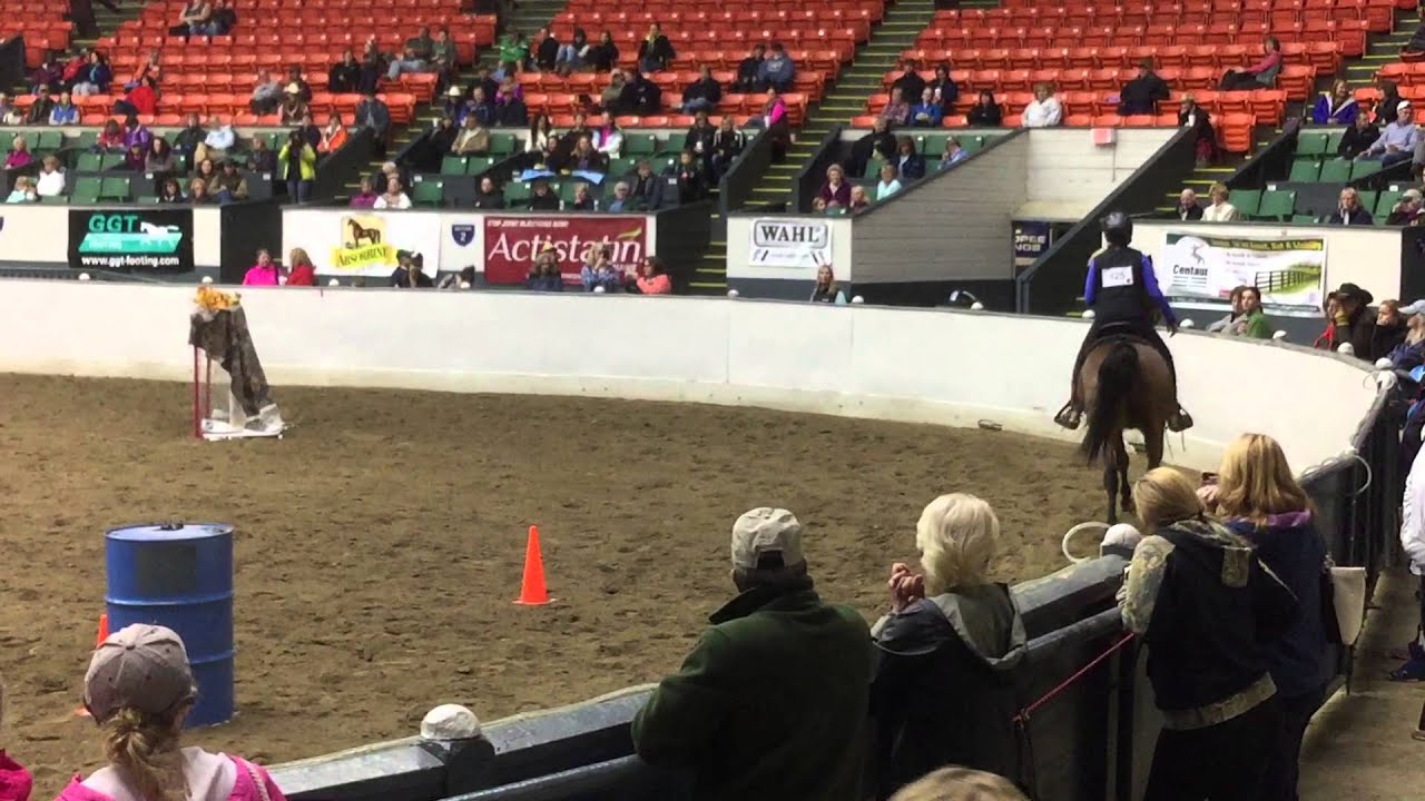 Rhonda and Levi - Equine Affair, Round 1, 2015 - YouTube