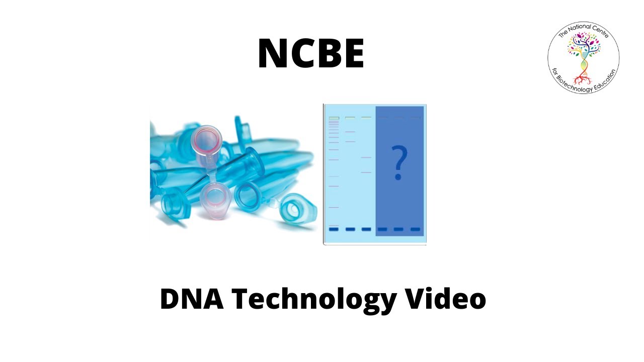 DNA technology video - YouTube