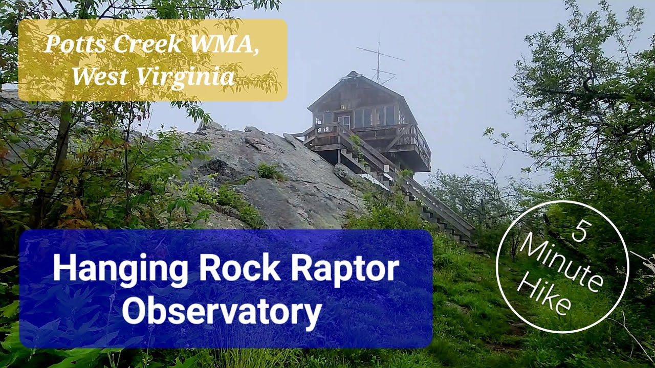 Hanging Rock Raptor Observatory | Potts Creek Wildlife Management Area ...