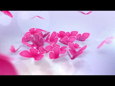 ##Happy marriage life whatsapp status