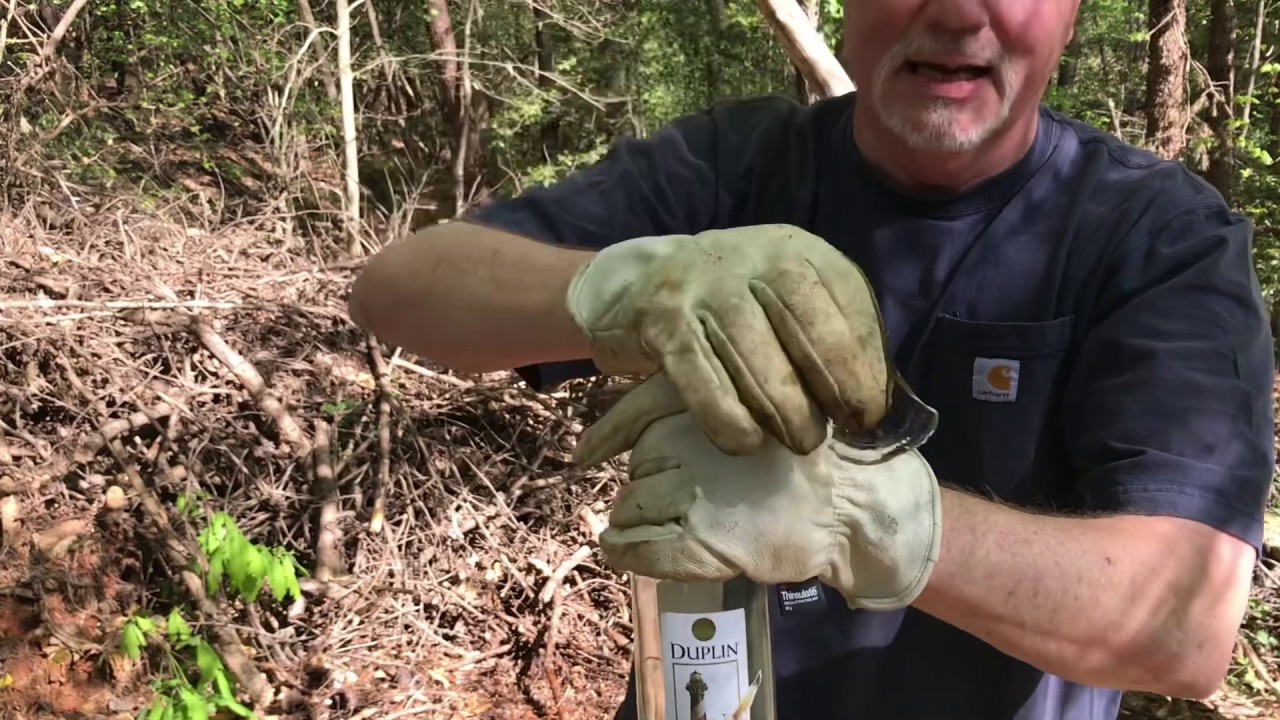 Breaking The Bottom Out Of Wine Bottles By Smacking Their Tops! Will it ...