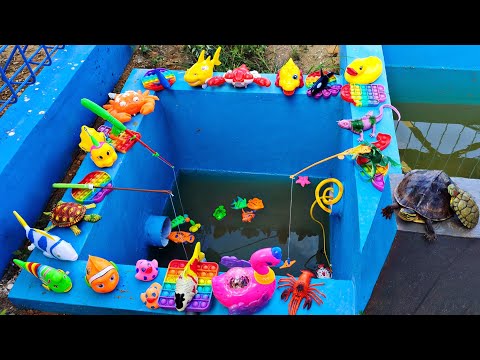 Wow Seru Memancing Ikan Hias Dikolam, Ikan Mas, Koi, Kura Kura Asli, Bebek, Angsa, Part227