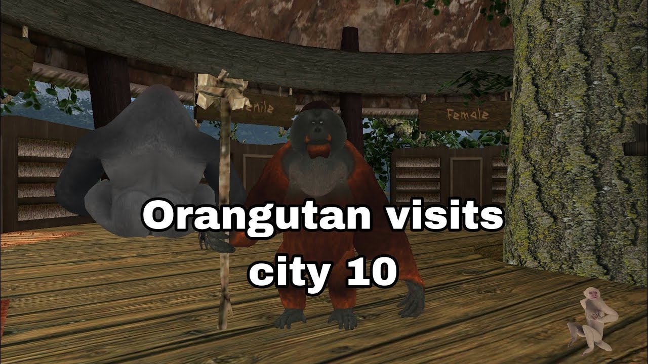 Orangutan visits city 10 #vrchat - YouTube