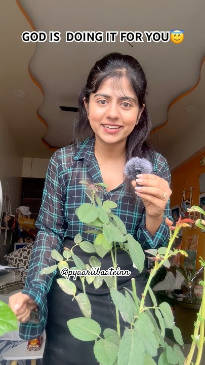 LET GOD PRUNE YOU - Have Faith Bro! #pyaaribaatein with Pyaari Rajput #motivationalpeaker #faith ...