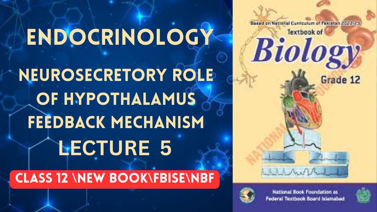 Neurosecretory Role Of Hypothalamus |Feedback Mechanism |Chap 6|Class ...