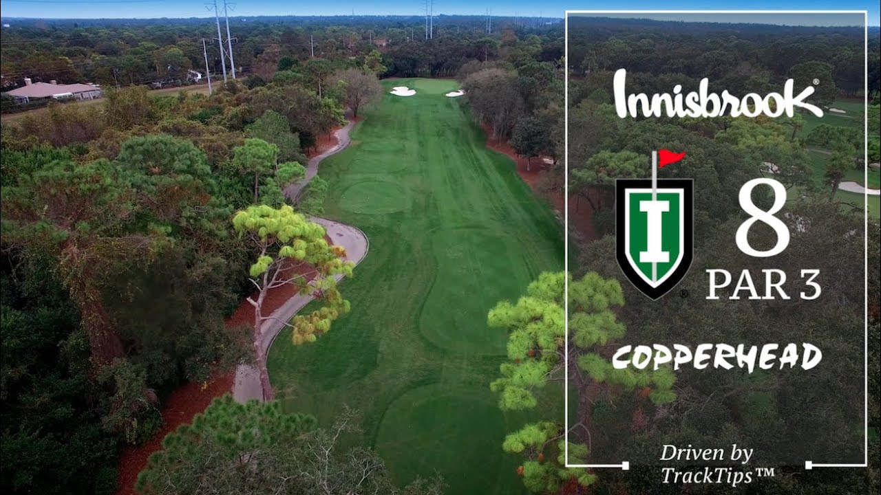 Hole 8 at Innisbrook Resort's Copperhead Course - YouTube