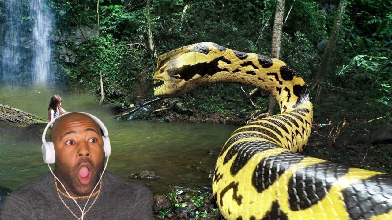 30 Most Terrifying Animals You are Glad are Extinct - YouTube