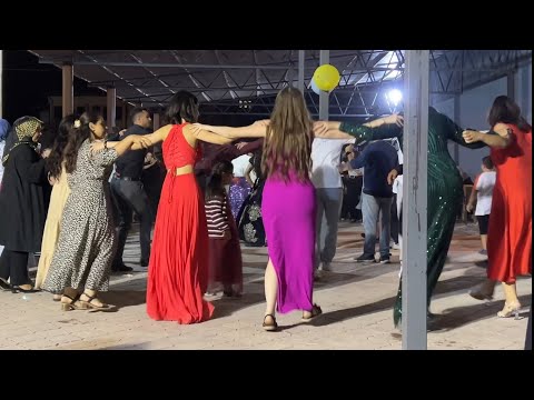 Düğünden canlı#53637484927