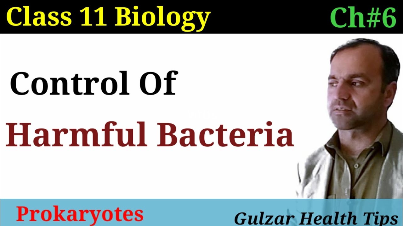 Control of Harmful bacteria | Physical method &Chemical method | Class ...